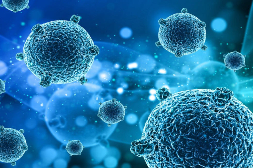 Exosomes in Cellular Health & Regeneration | ReCELLebrate